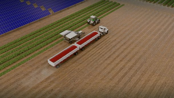 Farm to table: how tomatoes are processed - Tomato Wellness